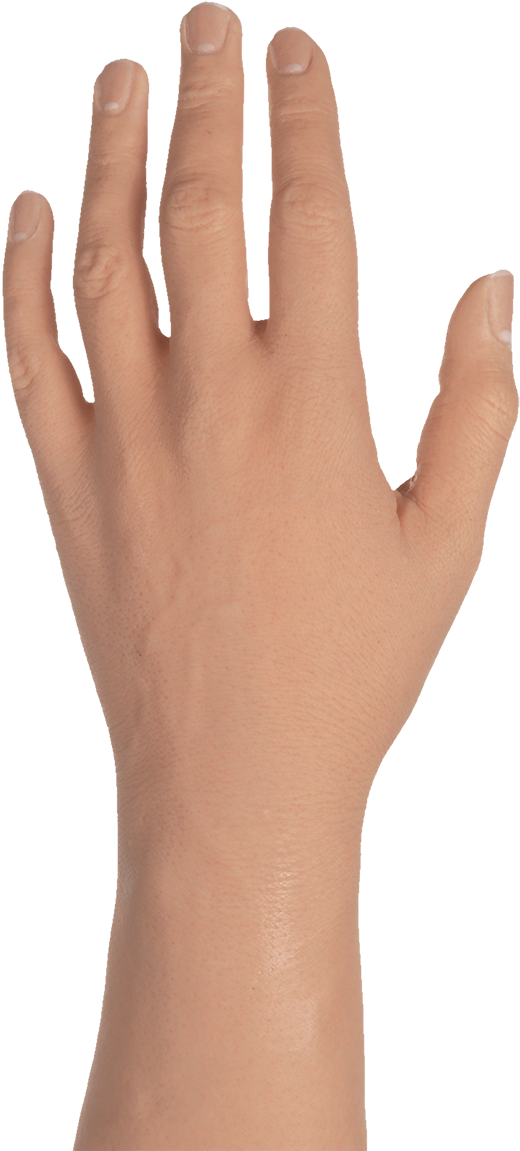 Download Transparent Male Hand Png, Png Download - kindpng