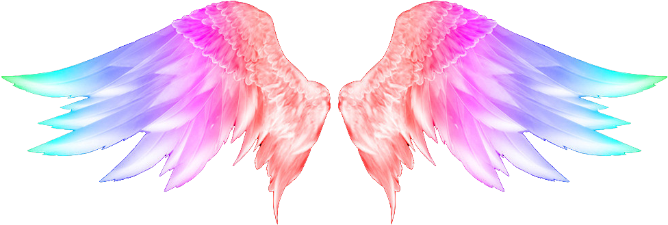 Download Transparent Feather Tattoo Png - Angel Wings Png Hd, Png ...