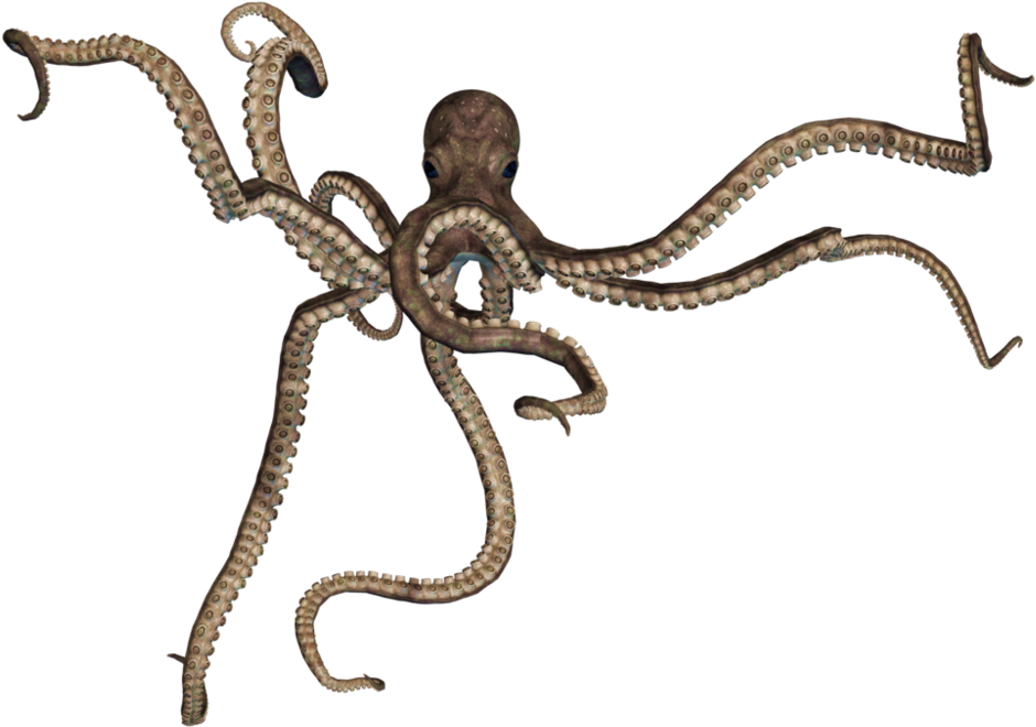 Giant Octopus Png , Png Download - Octopus Png, Transparent Png, free ...