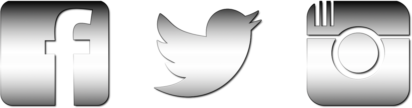 Twitter Facebook Icon