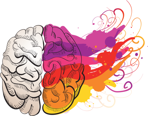 Download Png Graphic Designs - Brain Creativity, Transparent Png - kindpng
