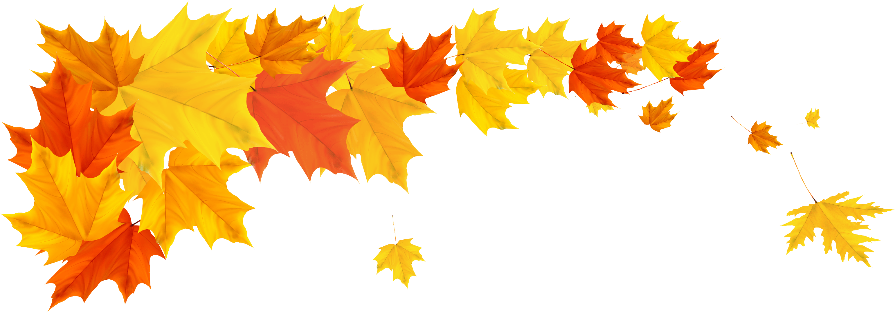 Autumn Leaves Border Png
