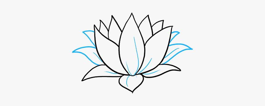 How To Draw A Lily Pad Flower Easy Lineartdrawingslove