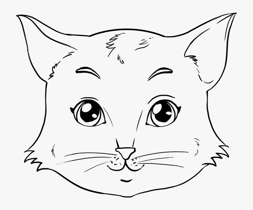 50 Anime Drawings Easy For Beginners PNG