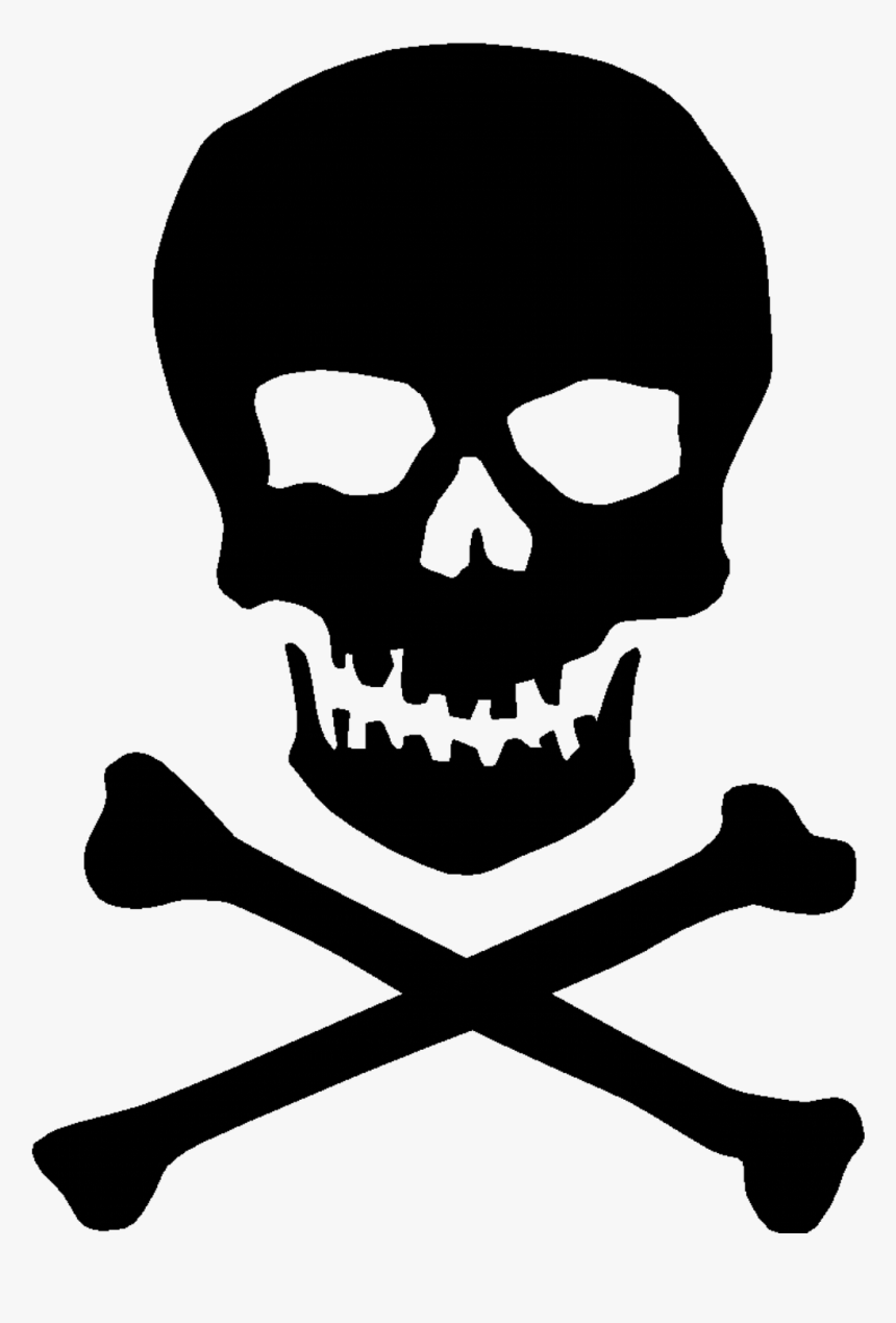 Skull And Bones Skull And Crossbones Human Skull Symbolism Skull And