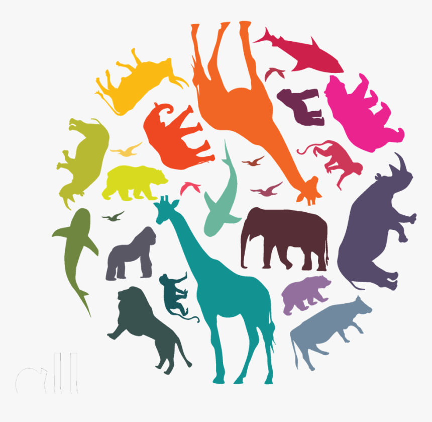 Clipart Of An Endangered Animal, HD Png Download - kindpng Clipart Of An Endangered Animal, HD Png Download - kindpng