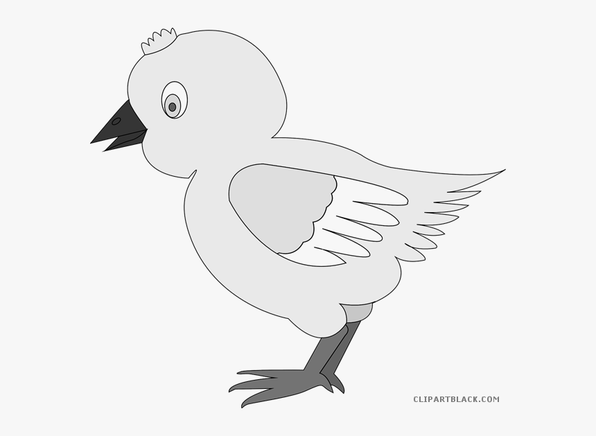 Chicken Clip Art Portable Network Graphics Vector Graphics - Clip Art ... Chicken Clip Art Portable Network Graphics Vector Graphics - Clip Art ...