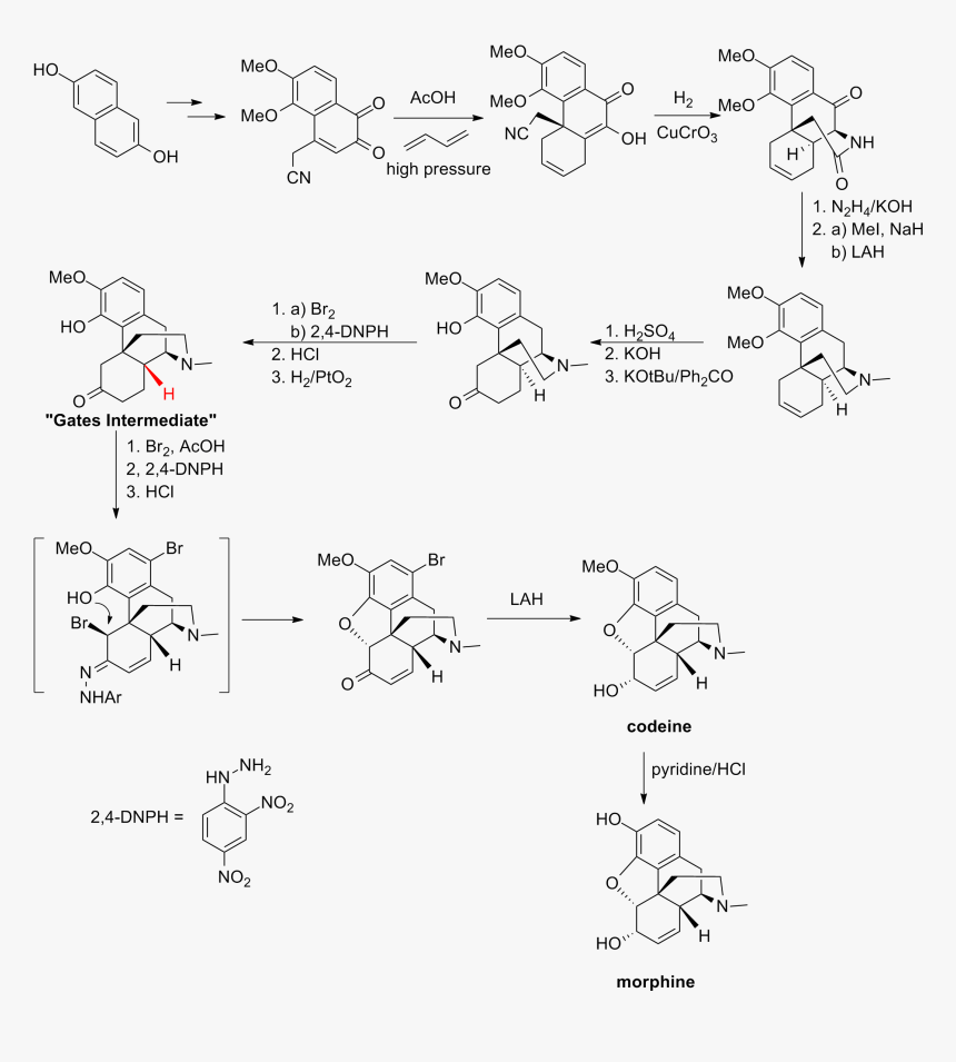 Gates Synthesis, HD Png Download - kindpng Gates Synthesis, HD Png Download - kindpng