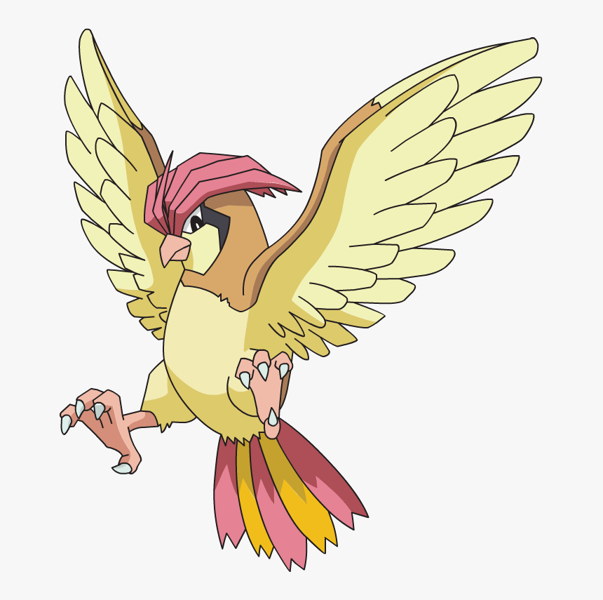 Pidgeotto Pokemon, HD Png Download - kindpng Pidgeotto Pokemon, HD Png Download - kindpng