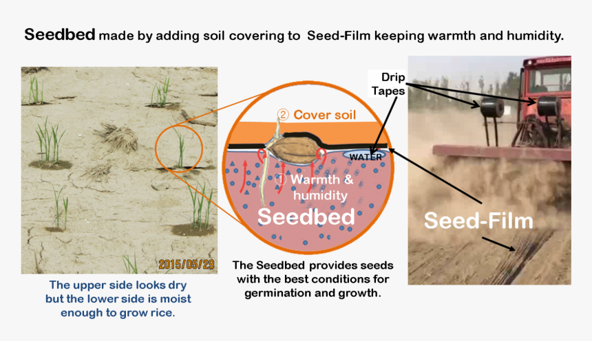 11544 %ea%b7%b8%eb%a6%bc78, HD Png Download - kindpng