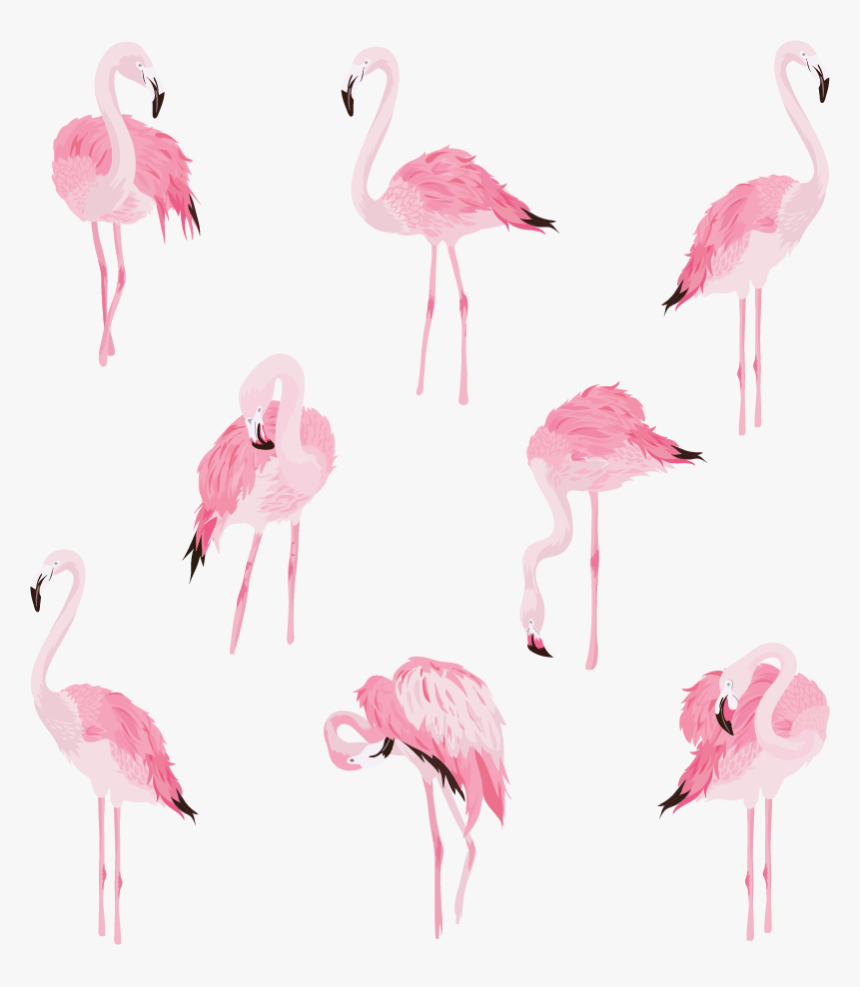 Pink Flamingo Png, Transparent Png - kindpng