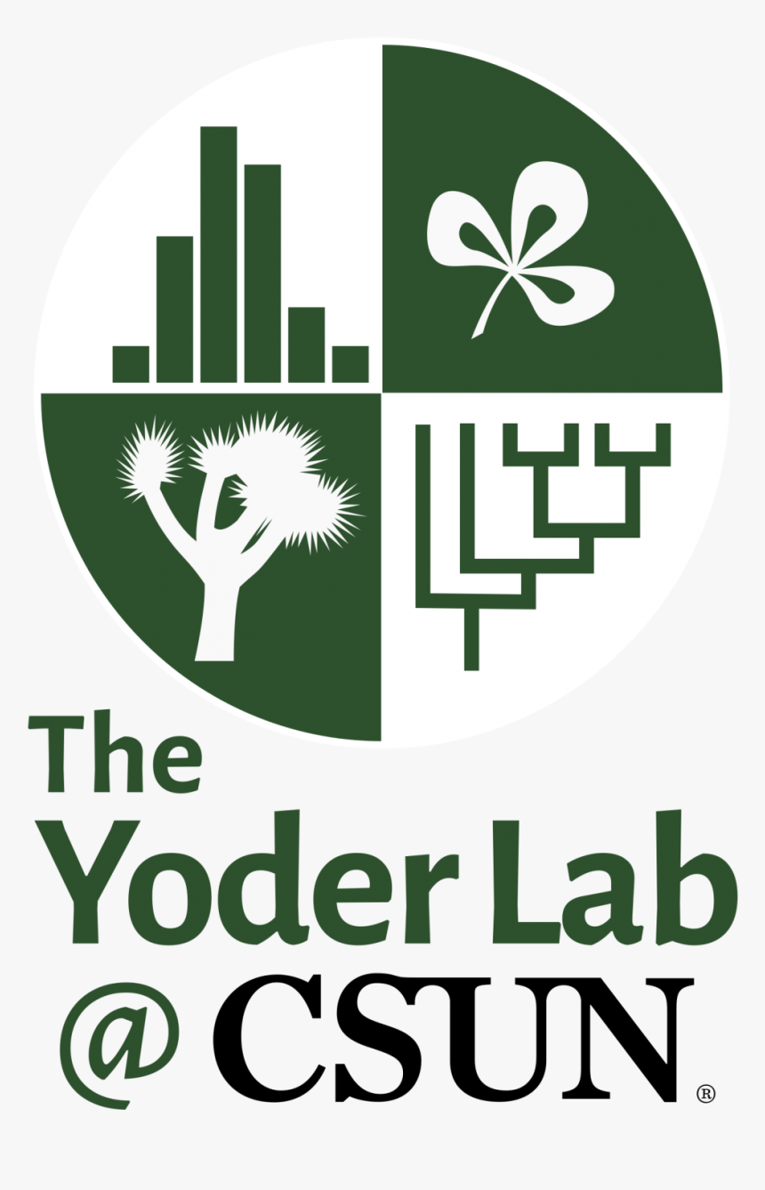 The Yoder Lab @ Csun, HD Png Download - kindpng