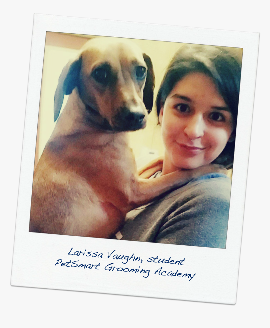 Petsmart Png, Transparent Png - kindpng