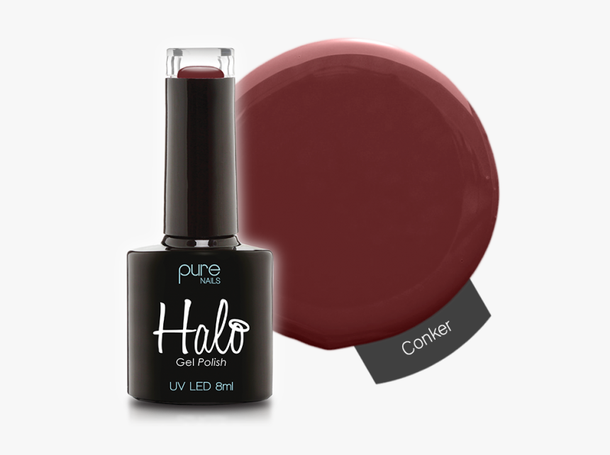 Conker Png, Transparent Png - kindpng