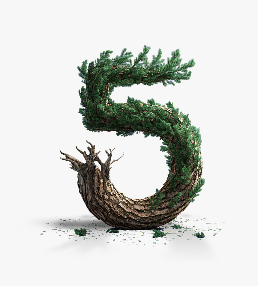 5.png, Transparent Png - kindpng