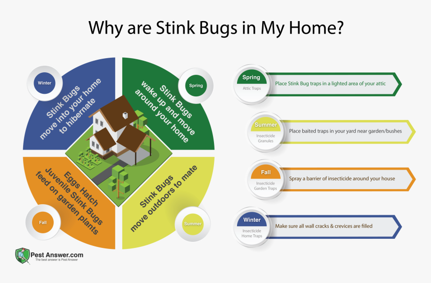 Stink Png, Transparent Png - kindpng