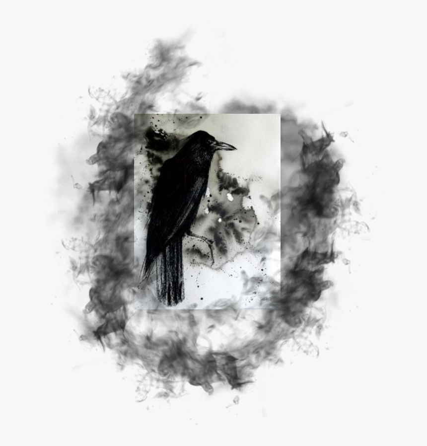 Transparent Raven Flying Png - Raven Queen Homebrewery, Png Download ... Transparent Raven Flying Png - Raven Queen Homebrewery, Png Download ...