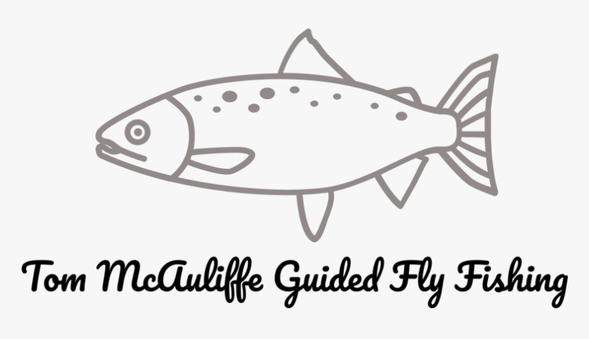 Fly Fishing Png, Transparent Png - kindpng