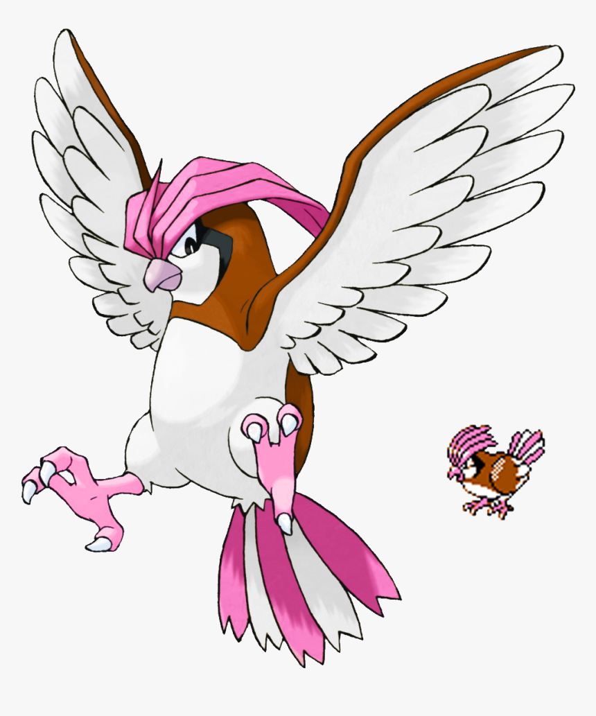 Pidgeotto Pokemon, HD Png Download - kindpng Pidgeotto Pokemon, HD Png Download - kindpng