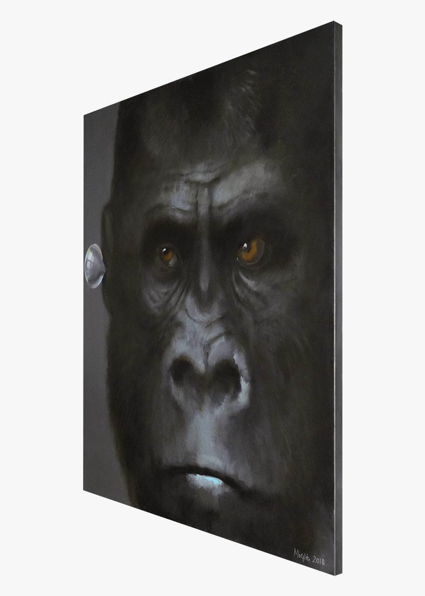 Gossip I - Nobig - Art - Monkey, HD Png Download - kindpng