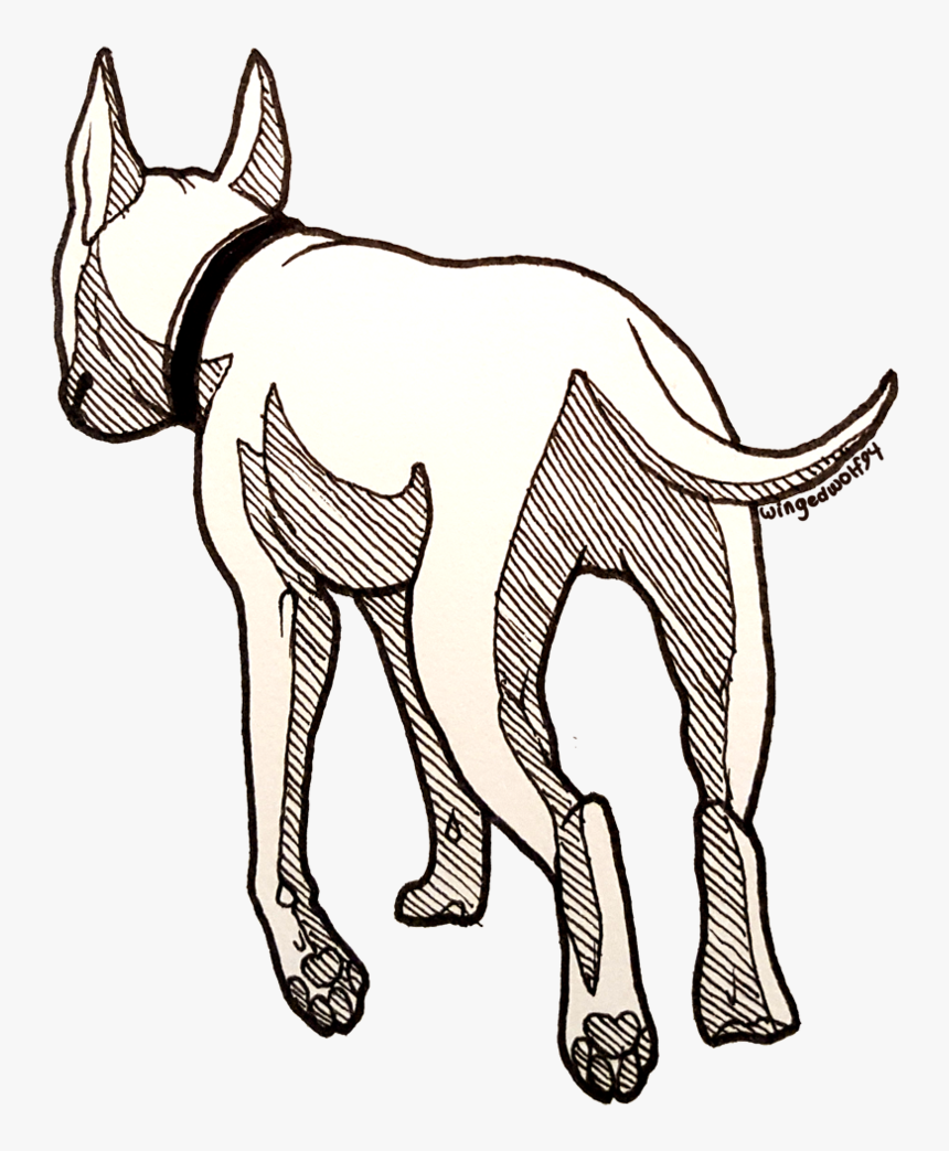 Dog Drawing Png -back View By - Drawing Dog From The Back, Transparent ... Dog Drawing Png -back View By - Drawing Dog From The Back, Transparent ...