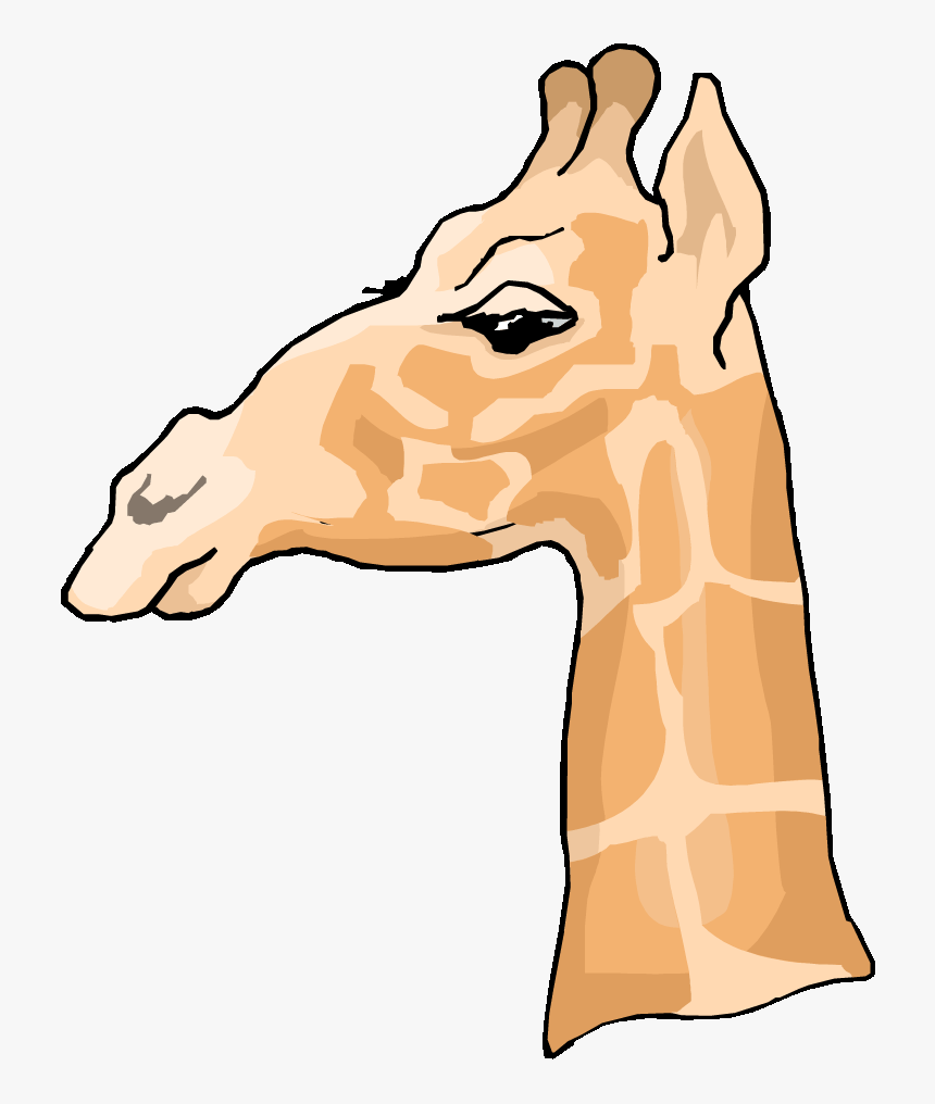 Free Giraffe Clipart Giraffe Head Side Outline HD Png Download Kindpng