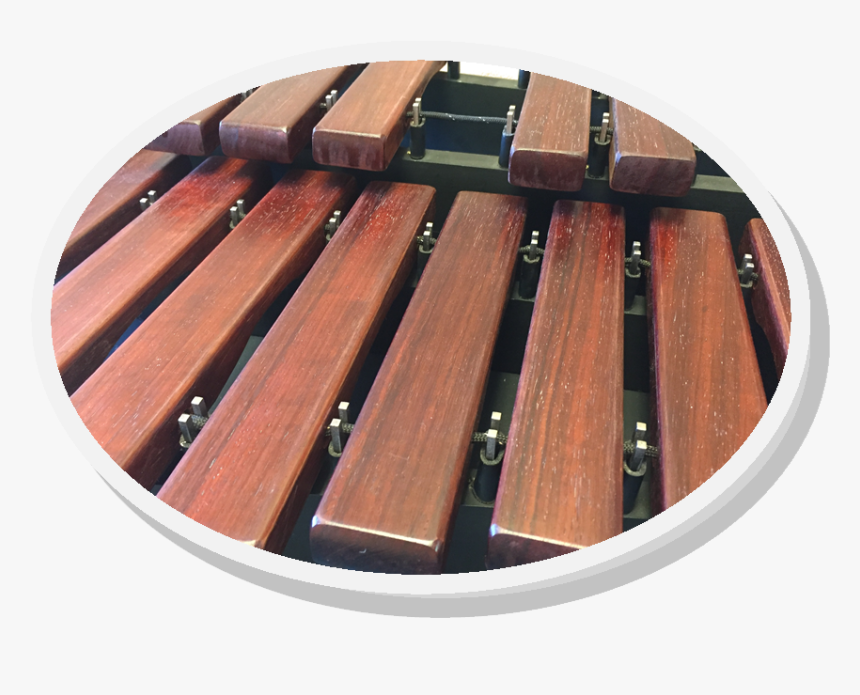 Barimba Zoom, HD Png Download - kindpng