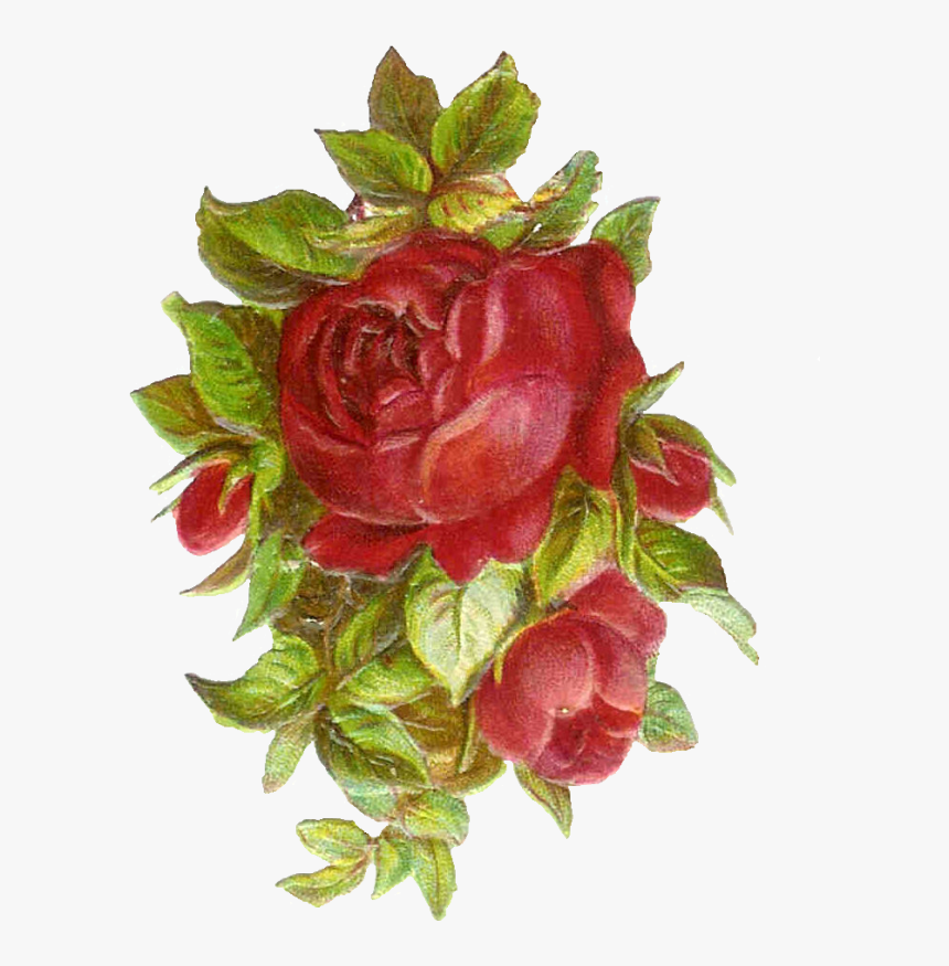 Vintage Rose Png, Transparent Png - kindpng
