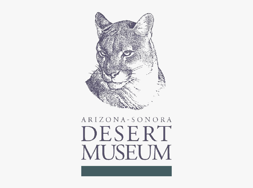 Asdm-01, HD Png Download - kindpng