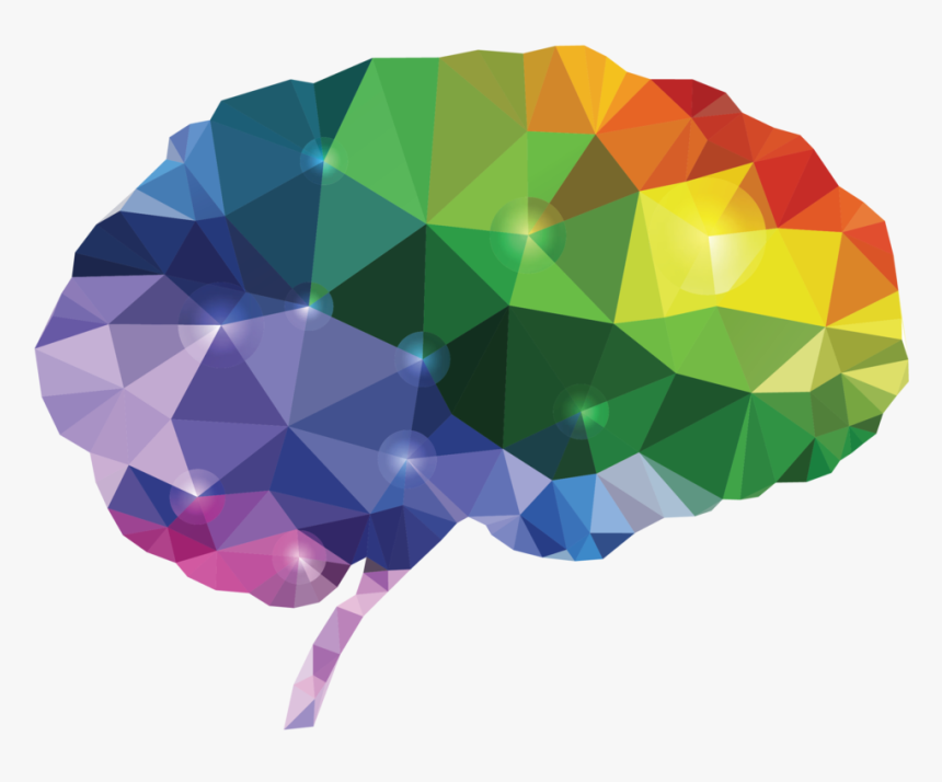 16 Neuro 05931 Brain, HD Png Download - kindpng