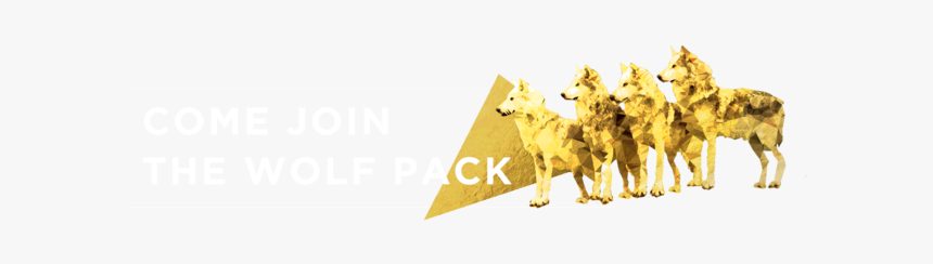 Wolfpack, HD Png Download - kindpng