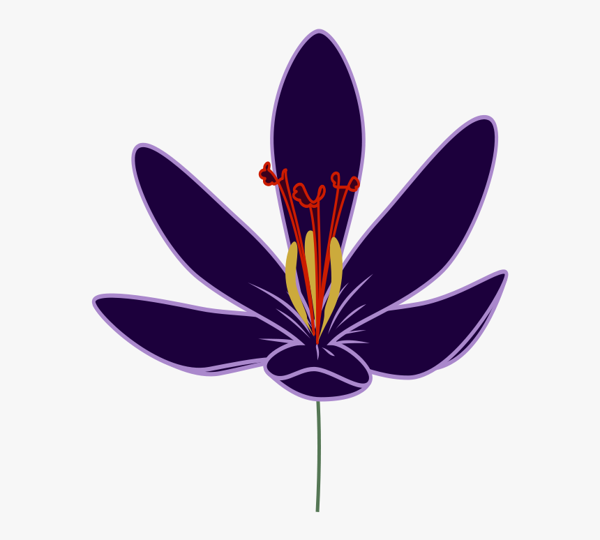 Safran Vector, HD Png Download - kindpng