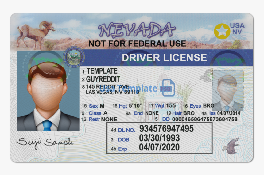 State Drivers License Templates