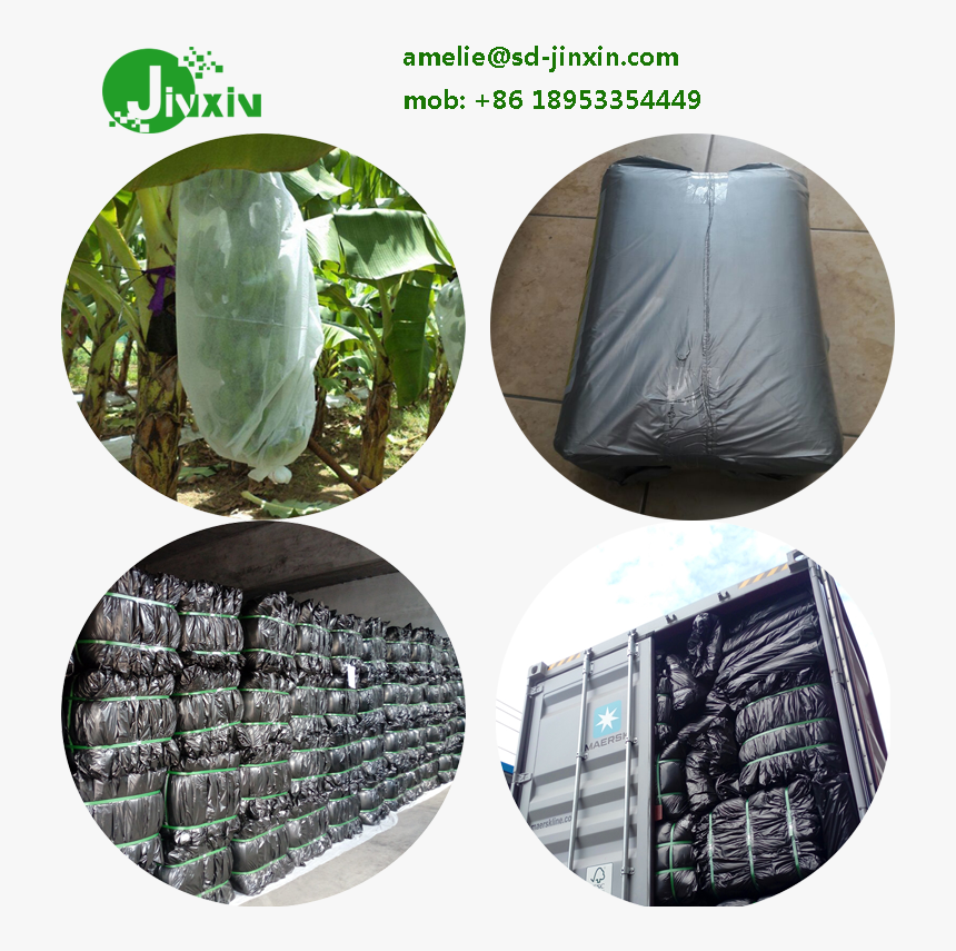 Banana Bunch Cover - Camping, HD Png Download - kindpng