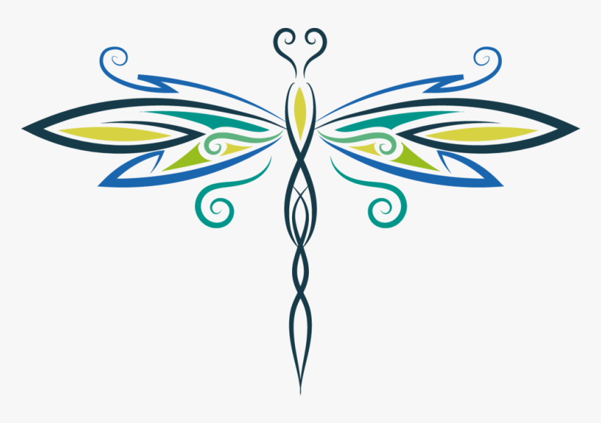 Master Icon Screen - Illustration, HD Png Download - kindpng