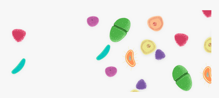 Needlework, HD Png Download - kindpng