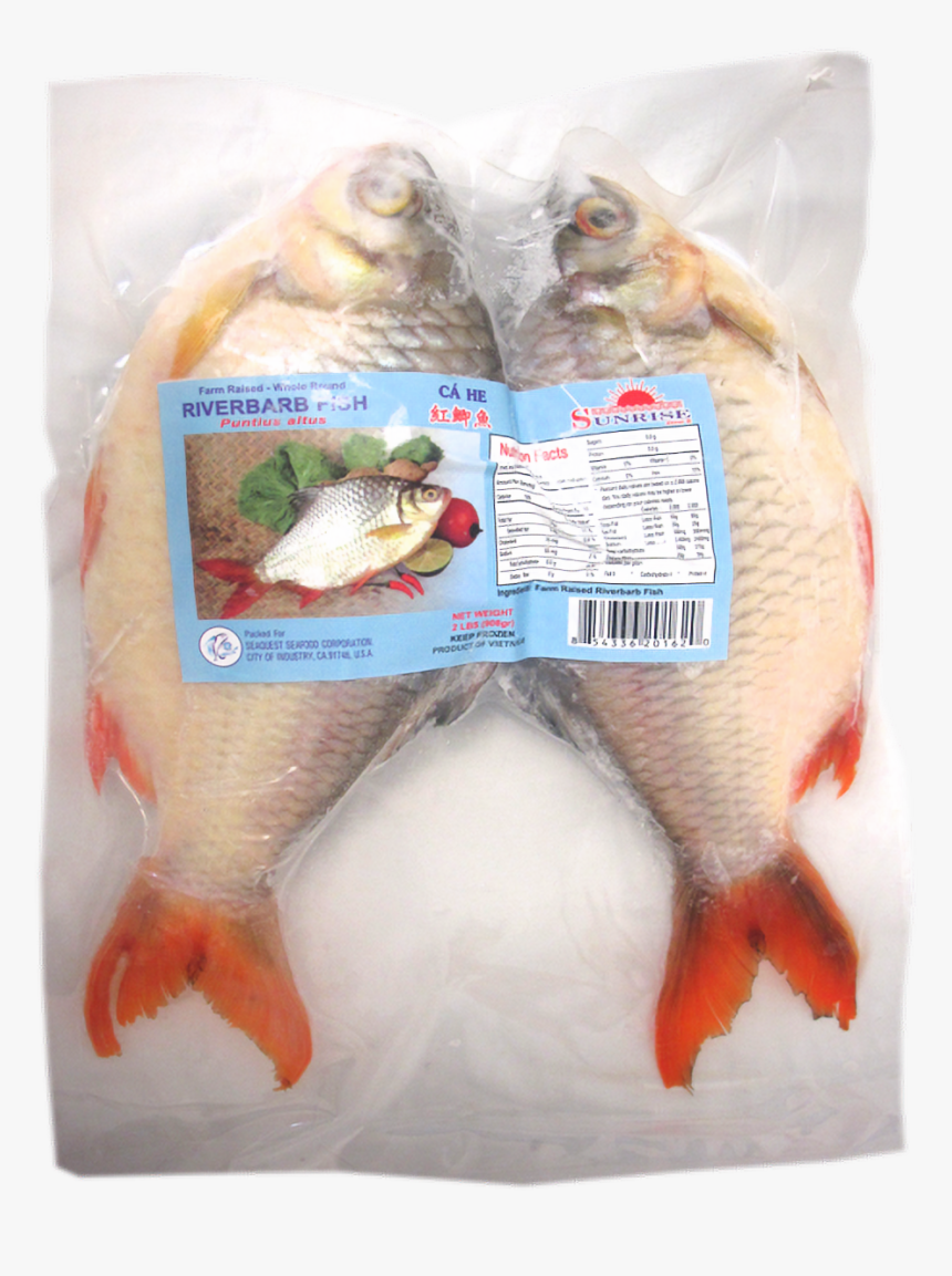 Perch, HD Png Download - kindpng