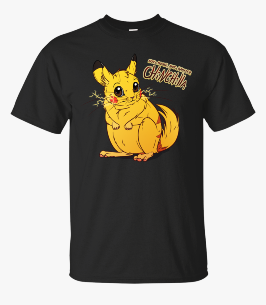Chinchilla Pikachu, HD Png Download - kindpng