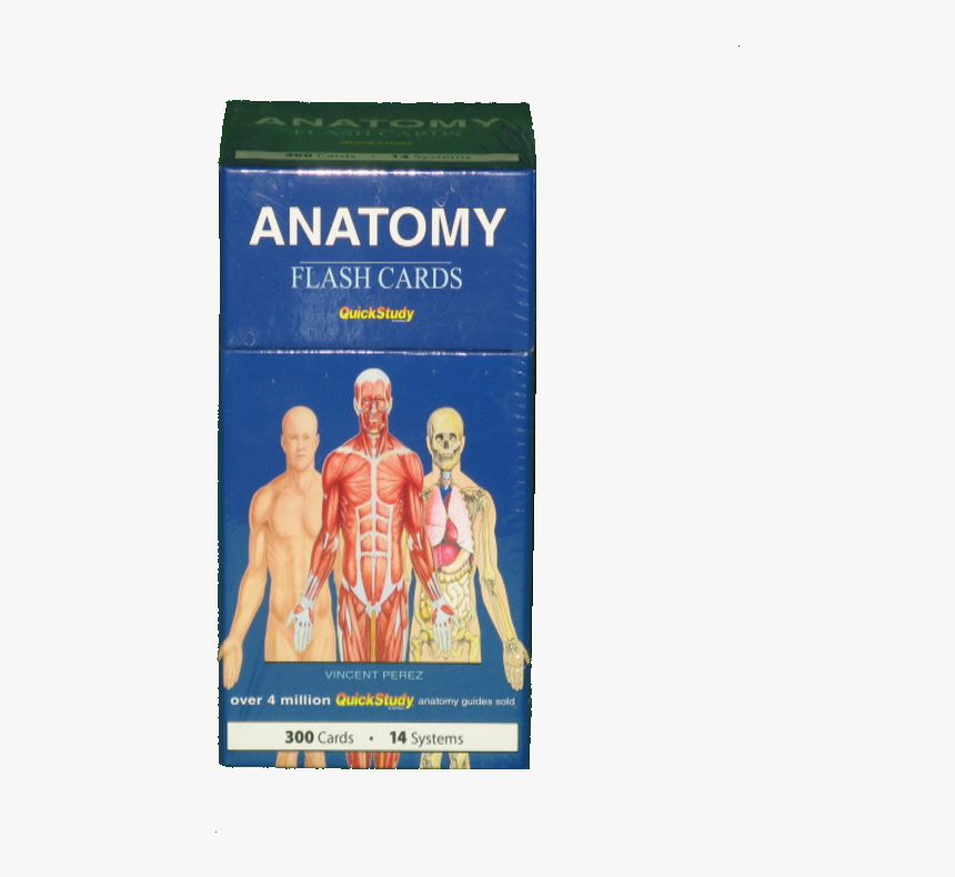 Anatomy Flash Cards" Class= - Anatomy Flashcards Quickstudy, HD Png ...