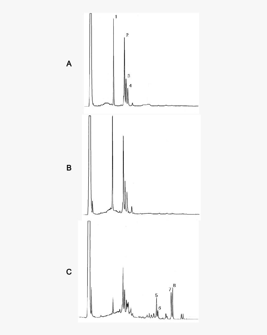 Hplc Elsd Chromatogram Of Ginseng Extracts, HD Png Download - kindpng Hplc Elsd Chromatogram Of Ginseng Extracts, HD Png Download - kindpng