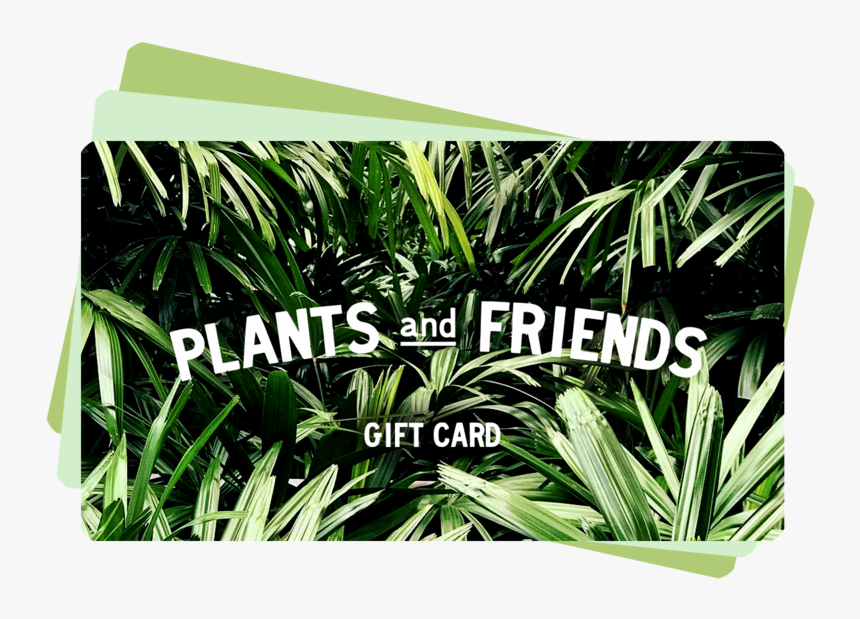 Gift-card Front, HD Png Download - kindpng