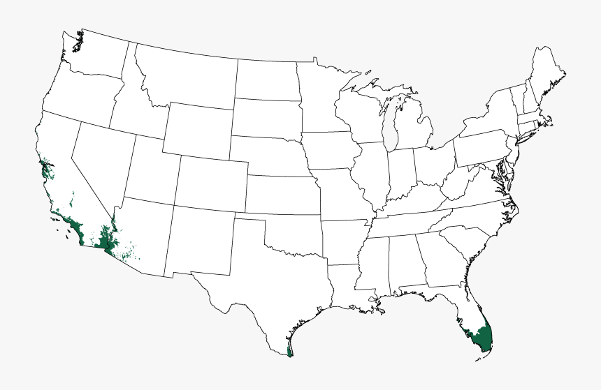 Large Us Map With State Names HD Png Download Kindpng