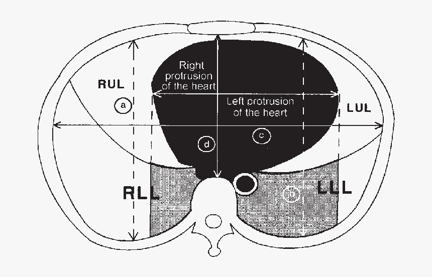 Lul Png, Transparent Png - kindpng