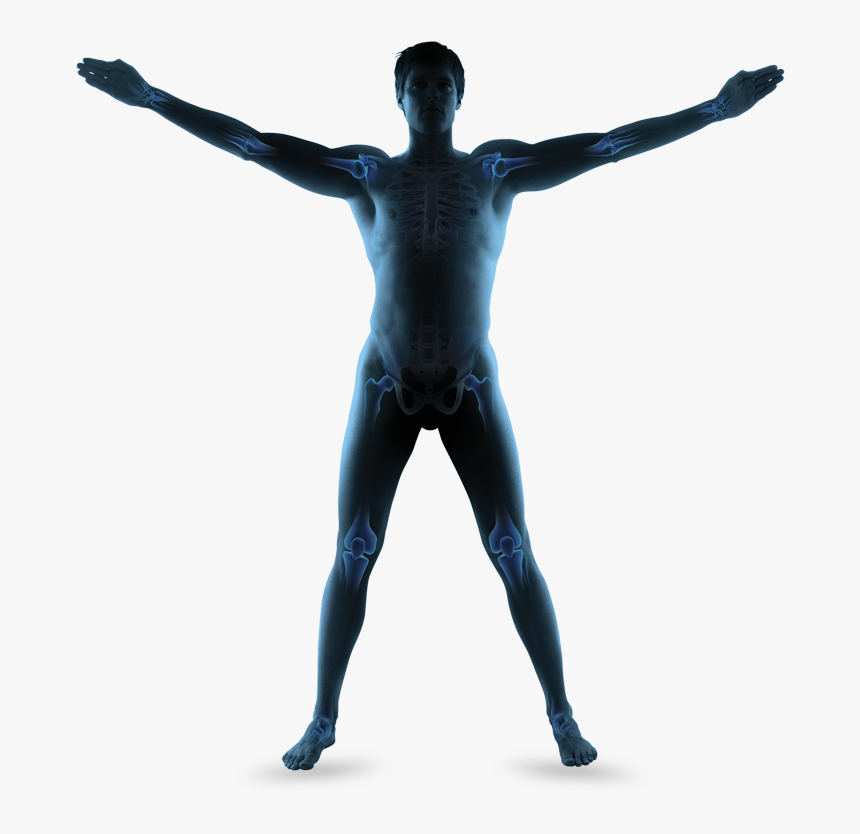 Transparent Muscle Arms Png, Png Download - kindpng