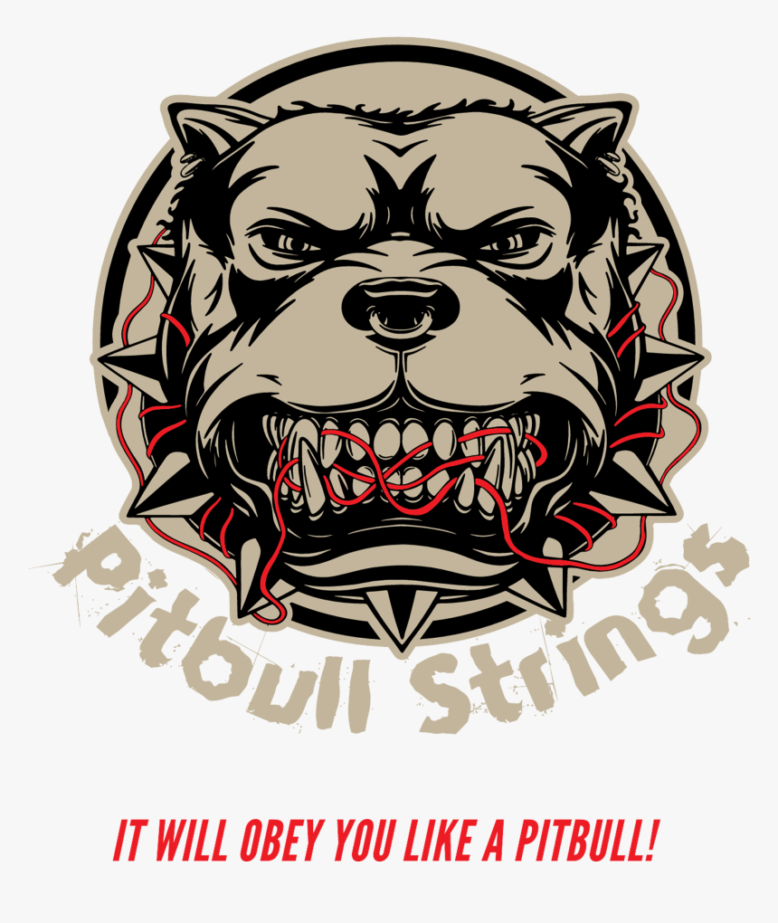 Pitbull Png, Transparent Png - kindpng