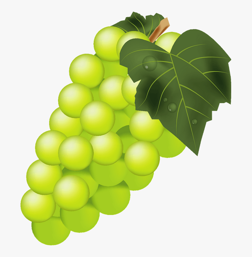 Grape Fruits Clipart, HD Png Download - kindpng