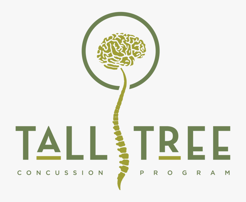 Concussion Program Logo, HD Png Download - kindpng