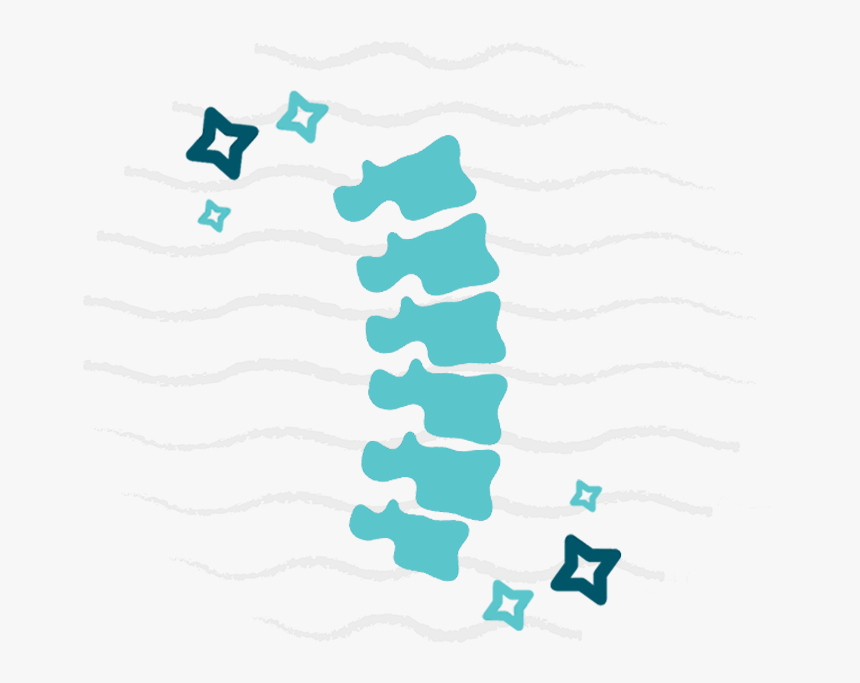 Spine Png, Transparent Png - kindpng