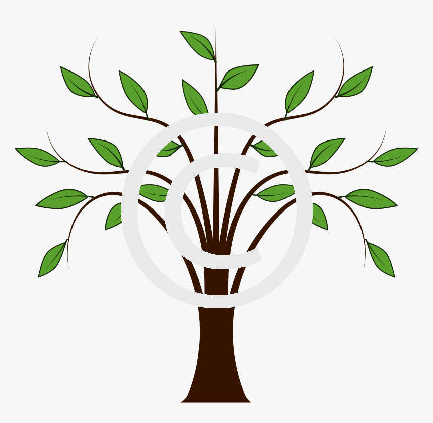 Cartoon Tree Branches Png, Transparent Png - kindpng