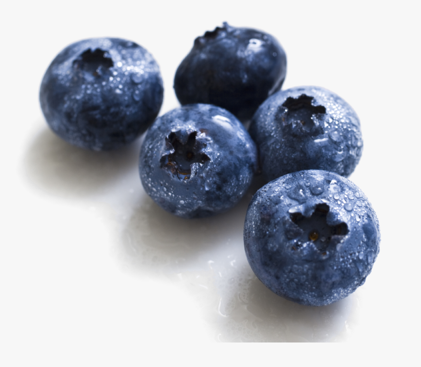 Transparent Blueberry Png, Png Download - kindpng